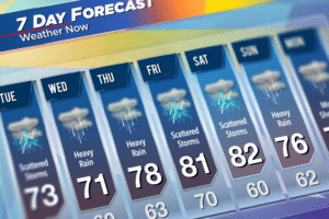 Florida Hurricane Building Codes | Hurricane Safety Program